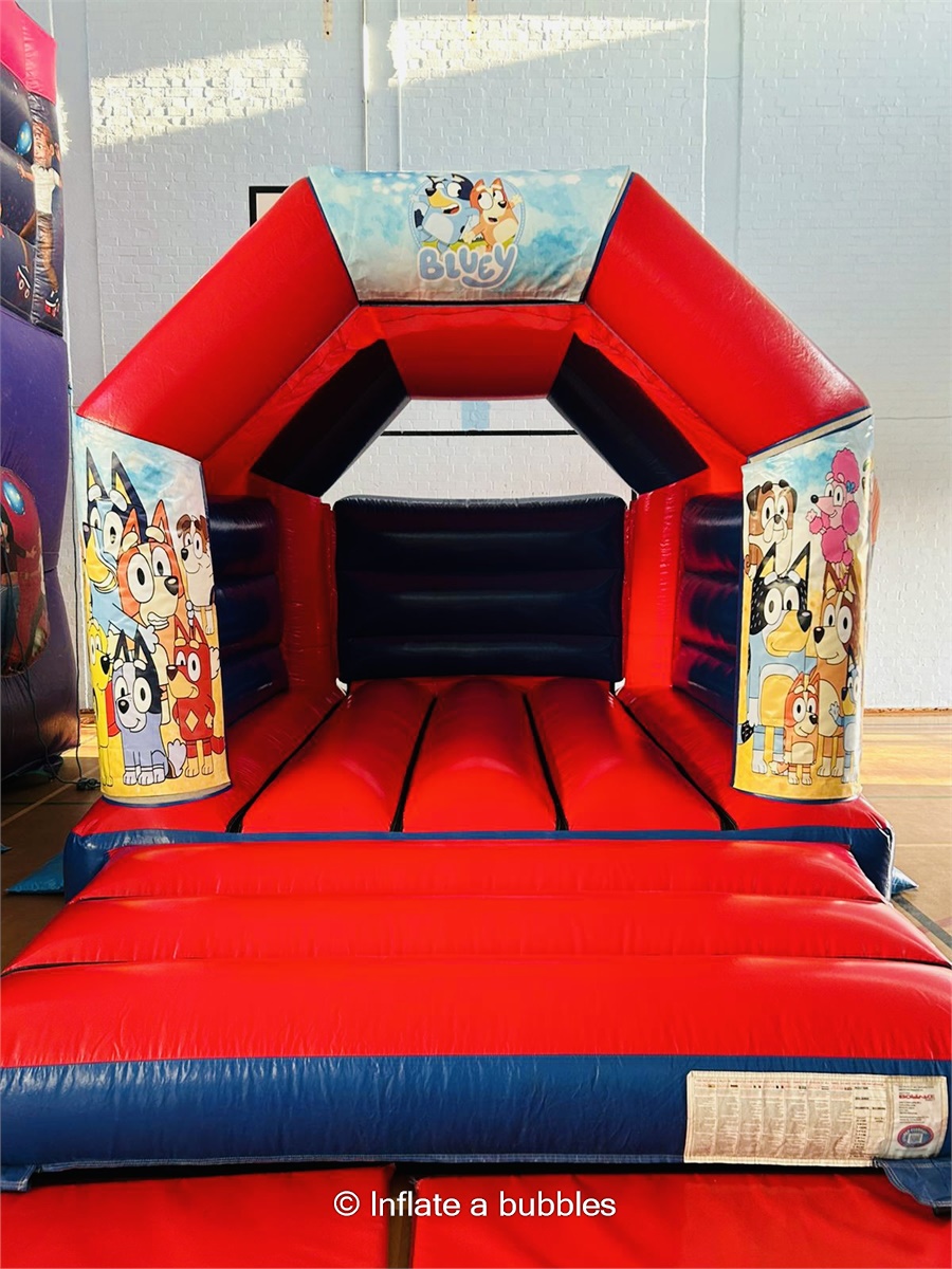 Bluey bouncy castle hire Kings Lynn