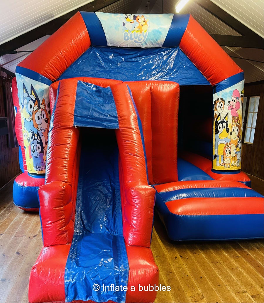 Bluey Bouncy Castle hire Wisbech